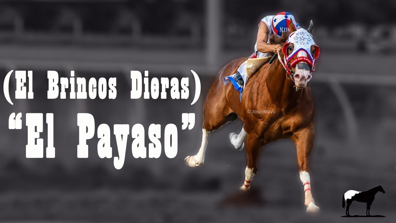 El Regreso Del "Payaso" A Los Carriles (El Caballo Mas Rápido De México ...
