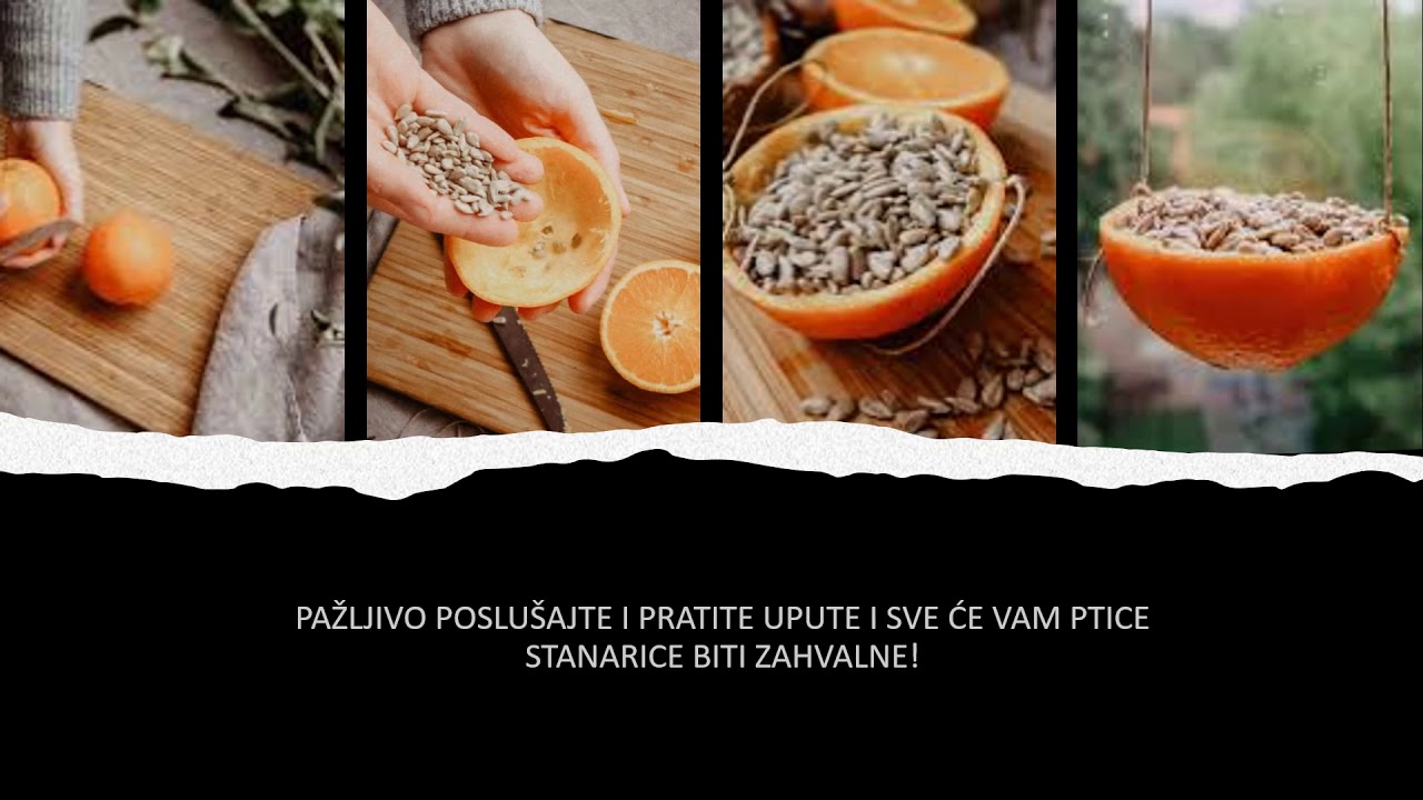 Ptice stanarice zimi - YouTube