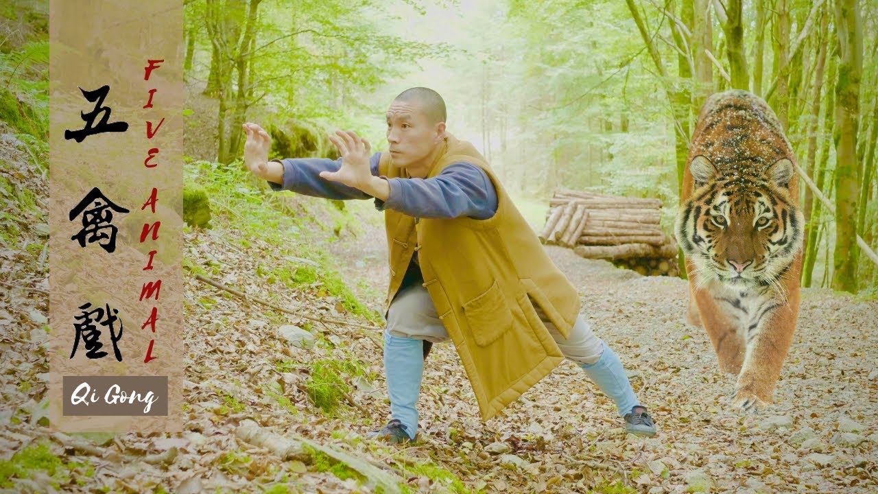 6-Min Shaolin Five Animal Qi Gong (Wu Qin Xi) | Nourish Organs, Boost ...
