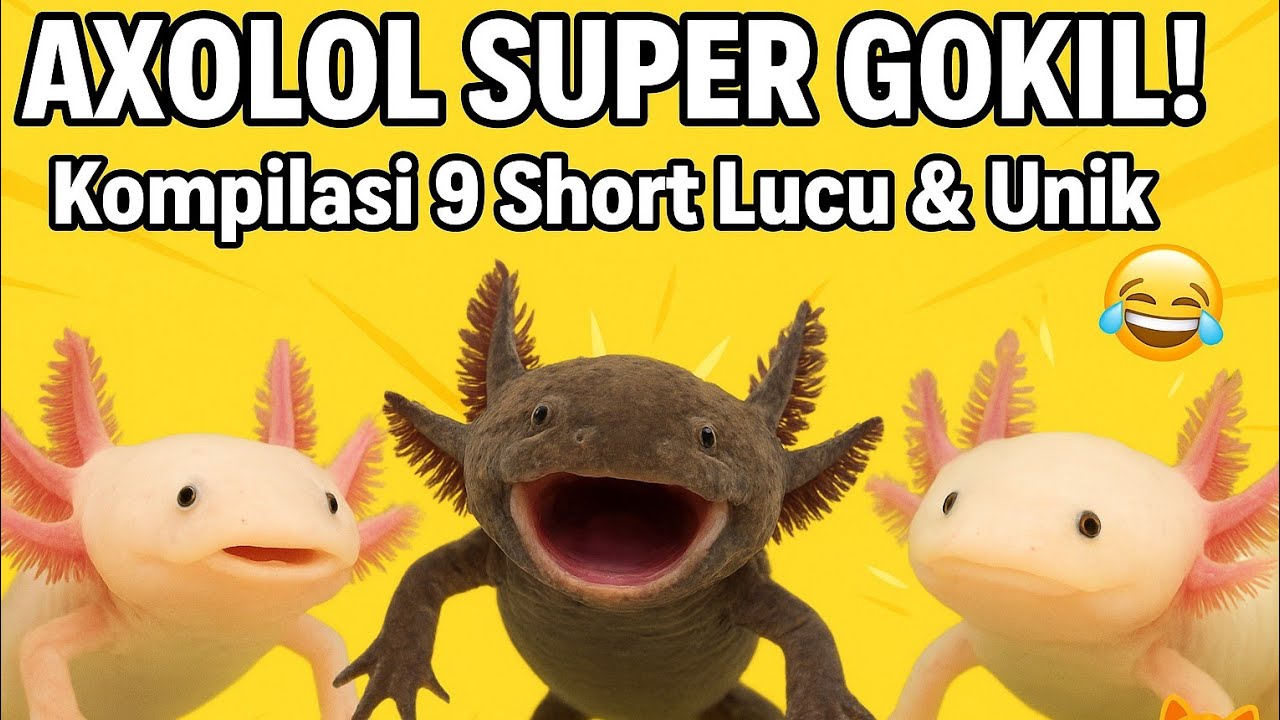 🦎 AXOLOL SUPER GOKIL! Kompilasi 9 Short Paling Lucu & Unik 🤯😂 vol.1 ...