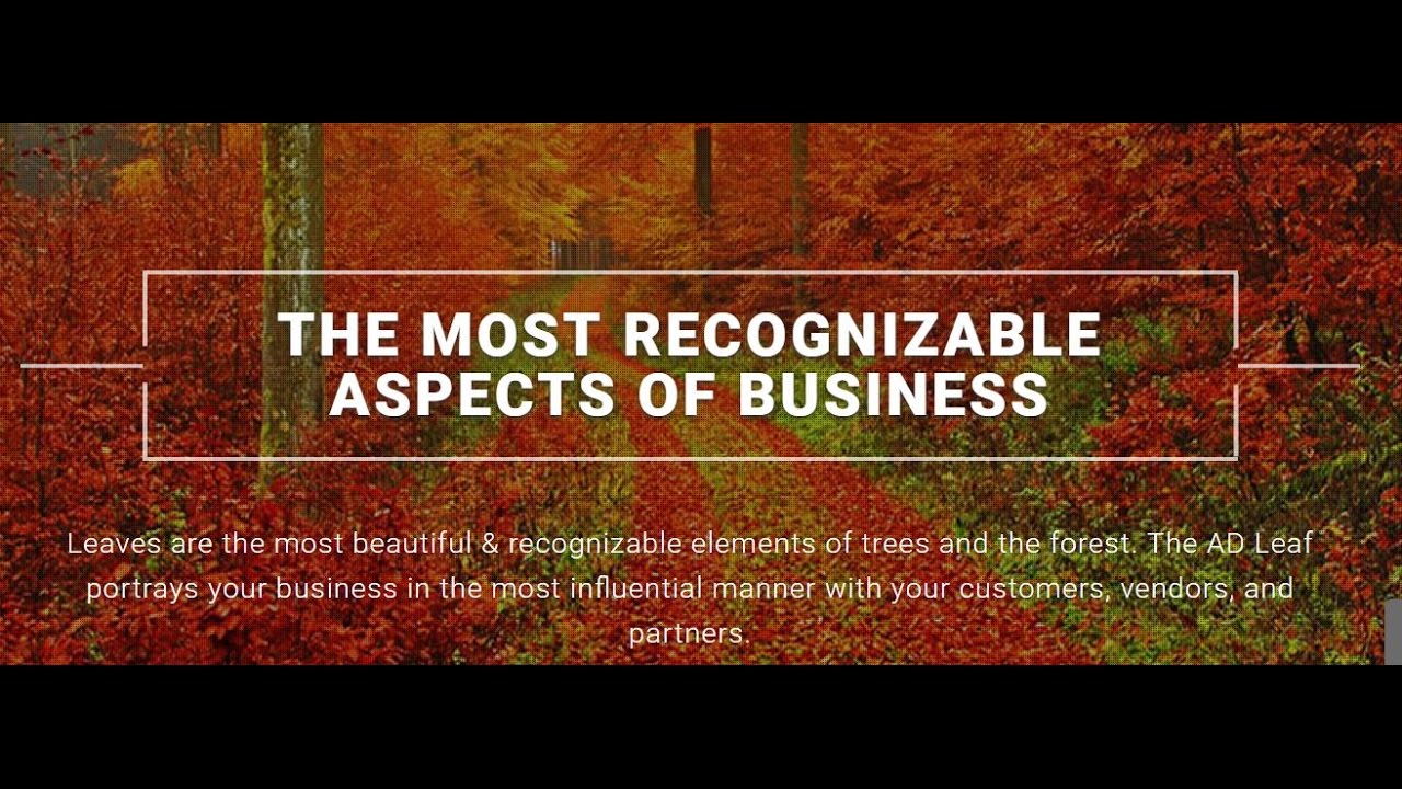 Programmatic Advertising Companies - The AD Leaf - YouTube