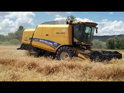 TC 5.80 NEW HOLLAND BİÇER DÖVER İLE HASAT