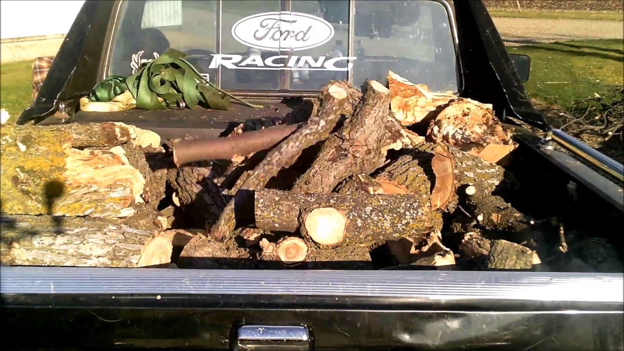 BUCKING A TREE FOR TIMBERS AND FIREWOOD - YouTube