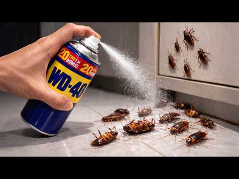 Die 12 besten einfachen, aber nützlichen WD-40-Tricks, von denen Ihnen niemand erzählt hat