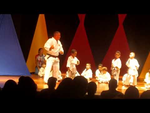 Karatê Arthur - YouTube