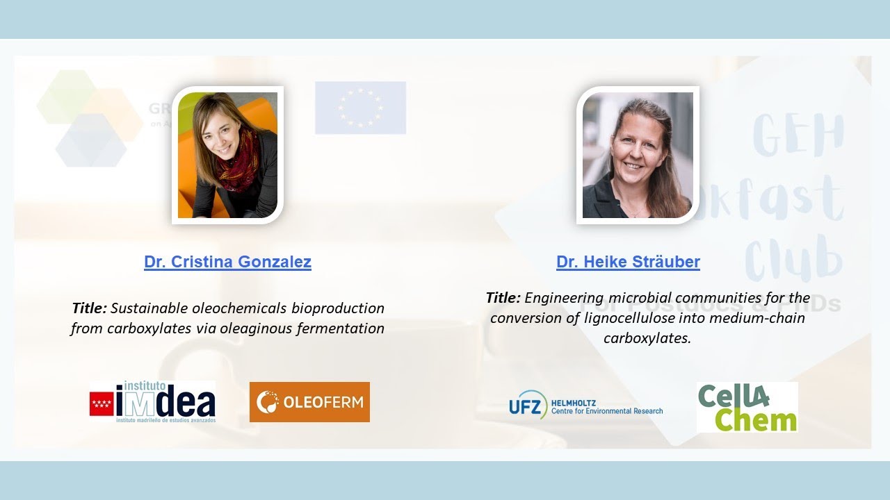 Production of Microbial Oils and Use of Lignocellulosic Feedstock by ...