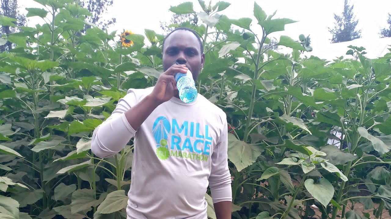 GROWING OF MAIZE IN DEMO PLOTS. - YouTube