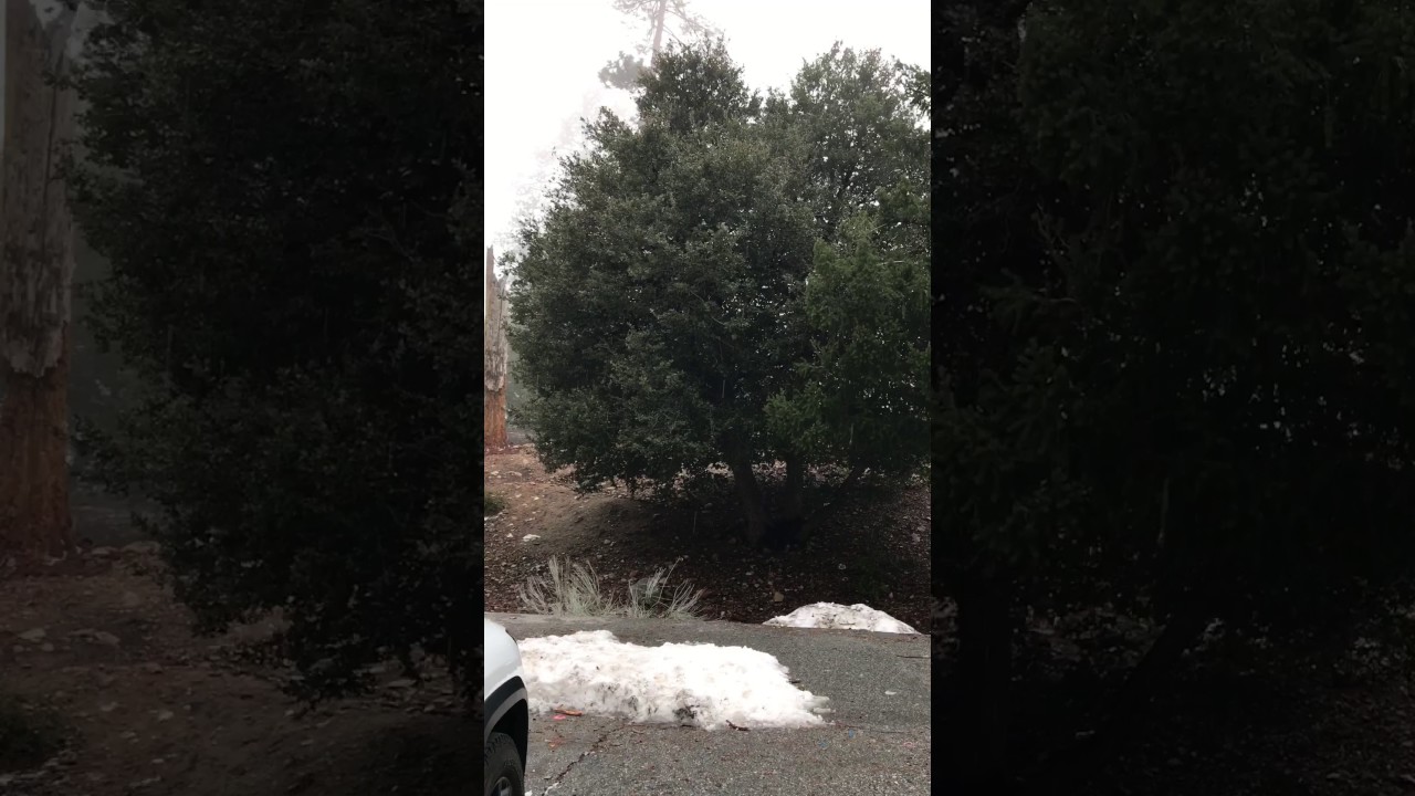 Azusa Canyon Snow #Crystallake - YouTube