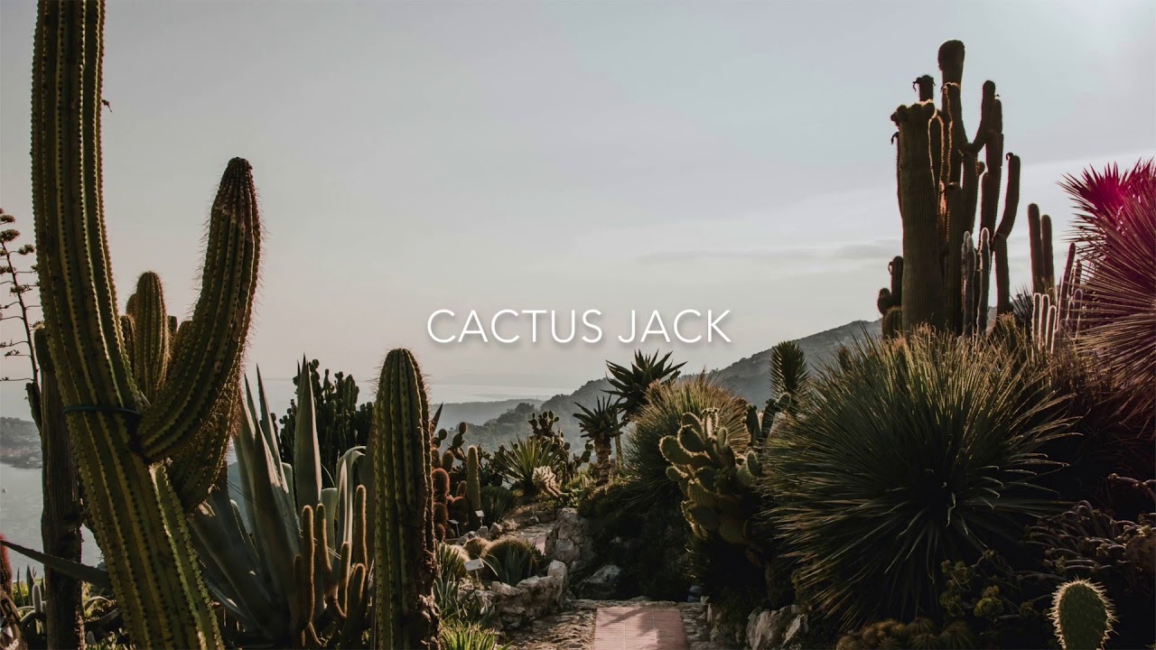 [FREE] Travis Scott Type Beat | "Cactus Jack" | prod.sahibeatz - YouTube