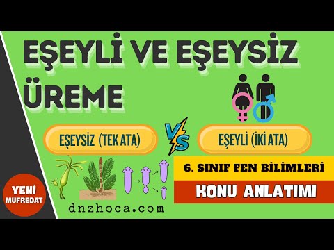 6. Sınıf Fen Bilimleri | Eşeyli ve Eşeysiz Üreme Konu Anlatımı (Yazılıya Hazırlık) | 3. Ünite