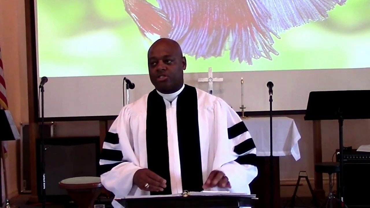 Fish in the Net (Which Fish are you?) - Dr. Thomas Webb - YouTube