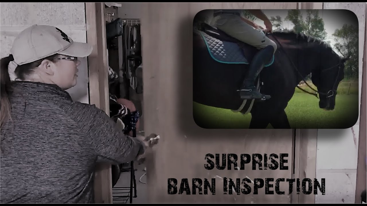 SURPRISE BARN INSPECTION - YouTube