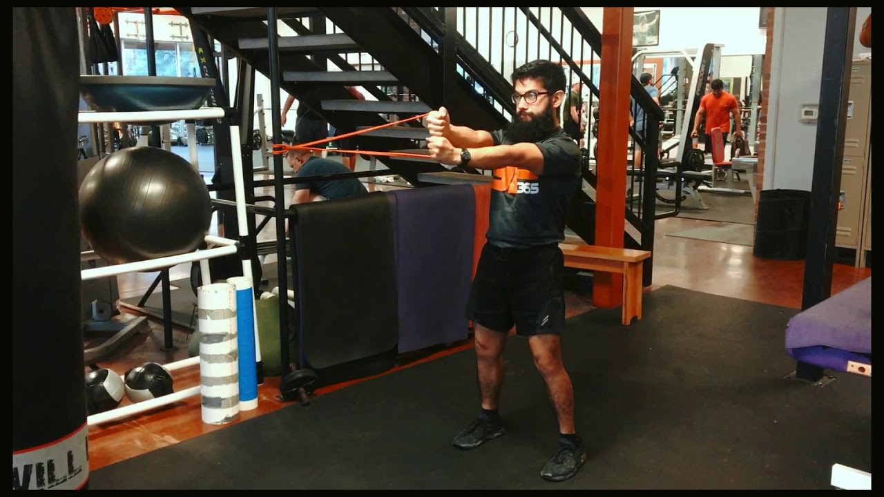 Banded Pallof Press - YouTube