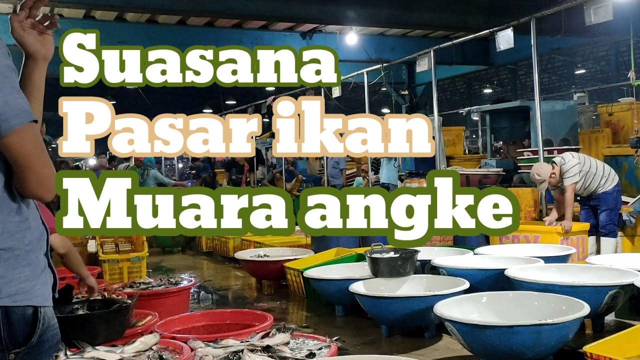 Kondisi Pasar Ikan Grosir Muara Angke Jakarta Utara - YouTube
