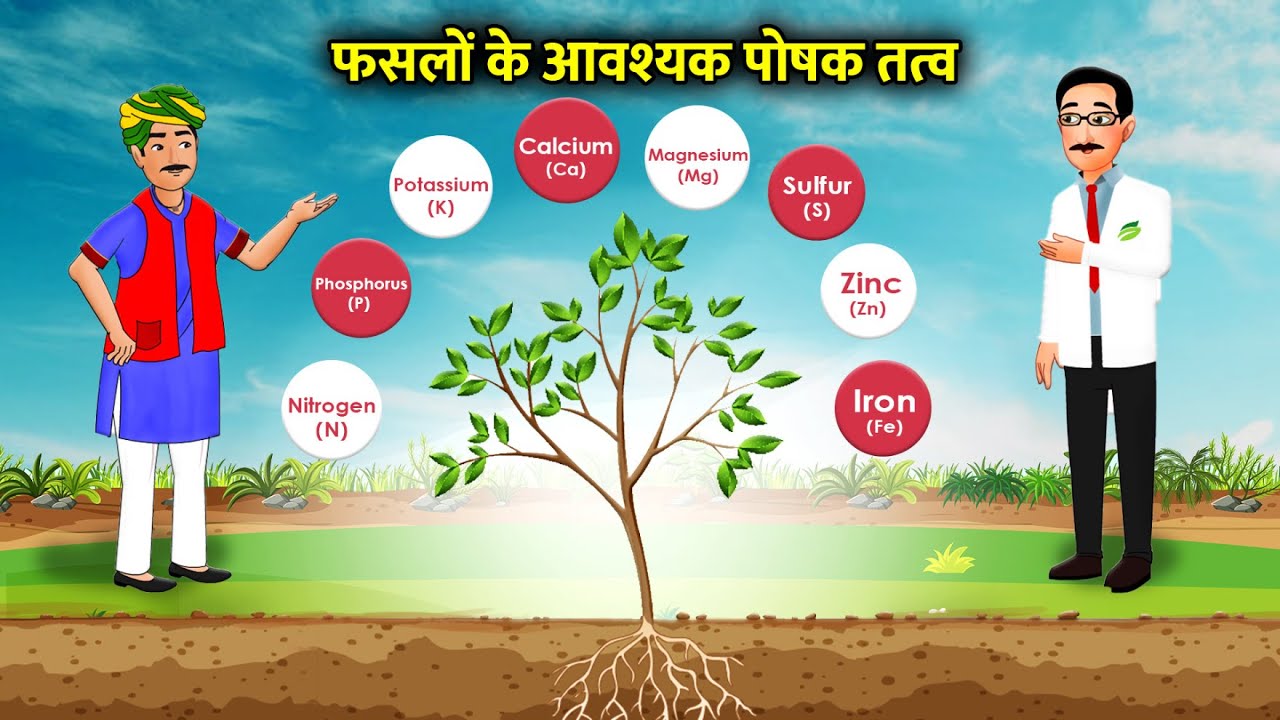 Essential Plant Nutrients | पौधों के आवश्यक पोषक तत्व | Plant Nutrient ...