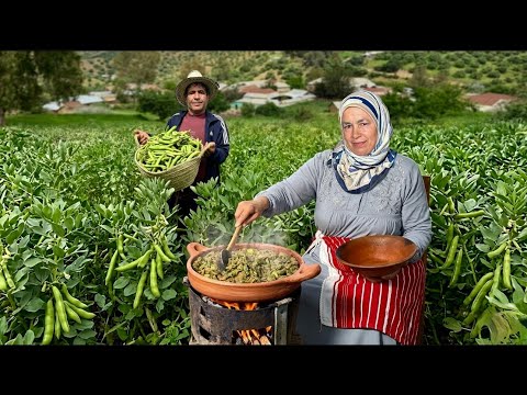 الفول الطازج من حقل القرية 🌿 | طبخ تقليدي على نار الحطب🔥