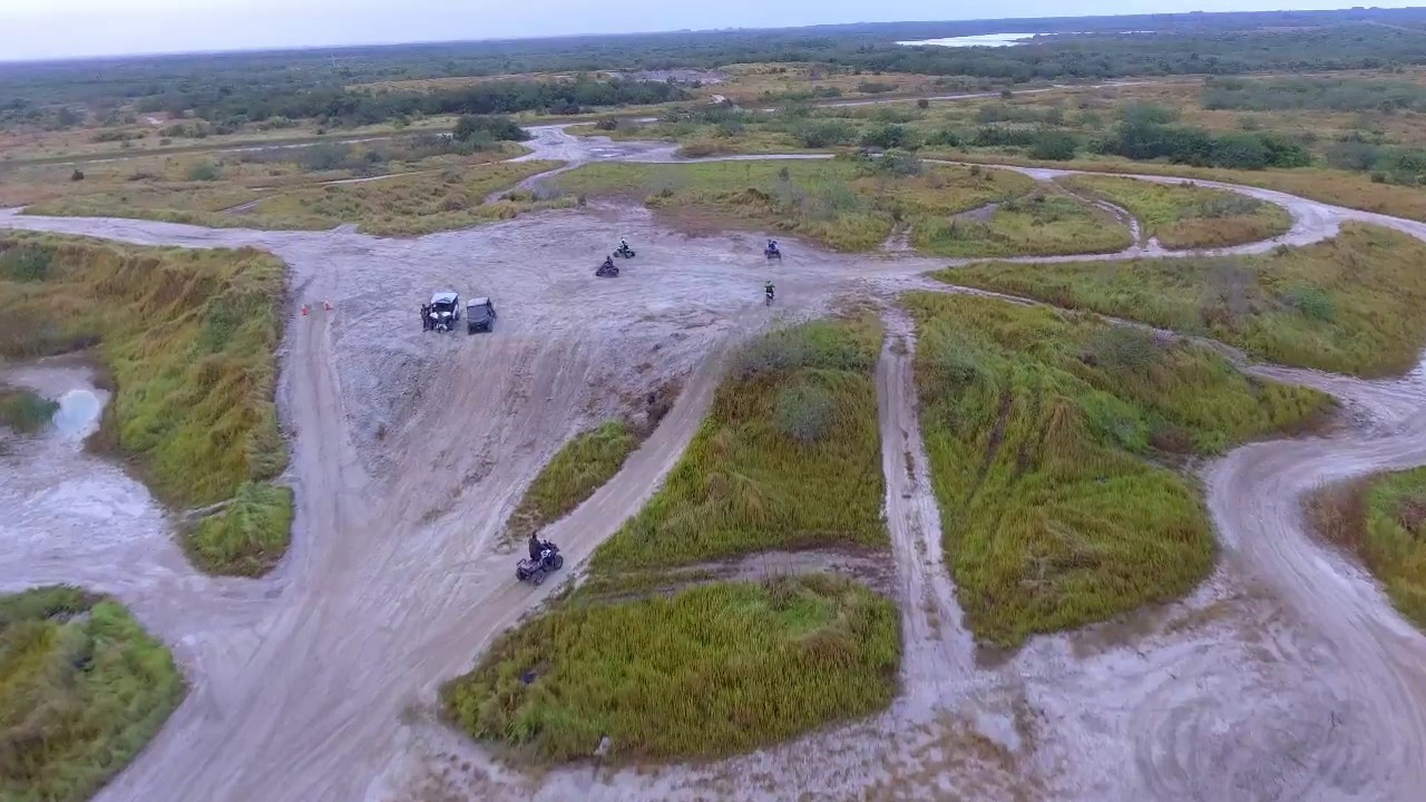 LOS COME FANGO DE PALM BAY - YouTube