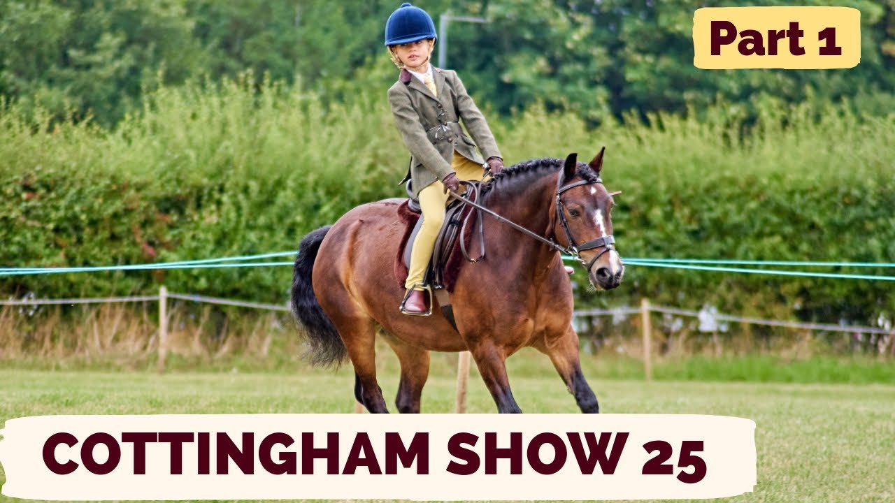 🏵️Cottingham Show 2025🏵️ Join us for pt 1 at one of our favourite ...