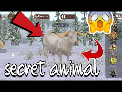 Playing as a bull in Wildcraft 😱😱😱😱😱😱😱😱😱😱😱😱 - YouTube
