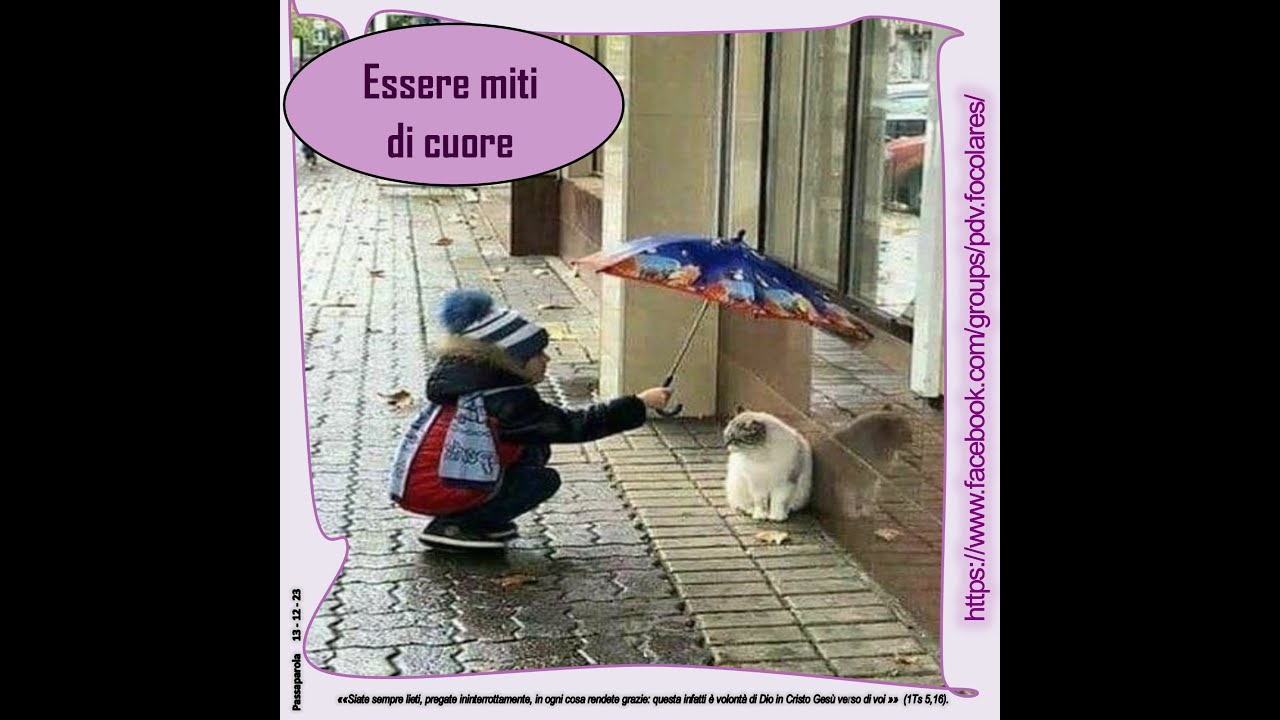 Pensiero del Giorno, mercoledì 13 dicembre - YouTube