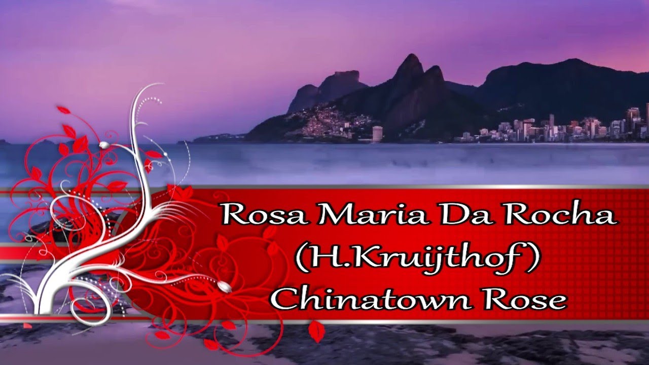 Rosa Maria Da Rocha - YouTube