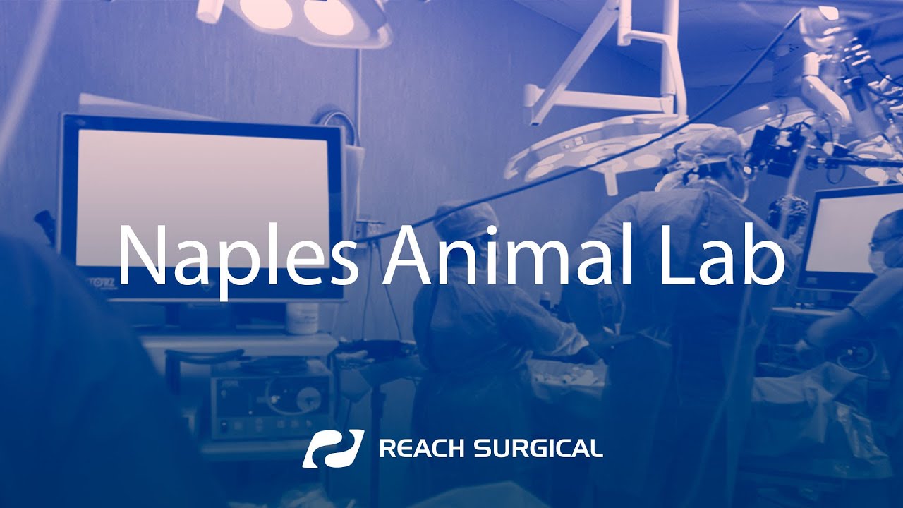 iReach Magnum Italy Animal Lab - YouTube