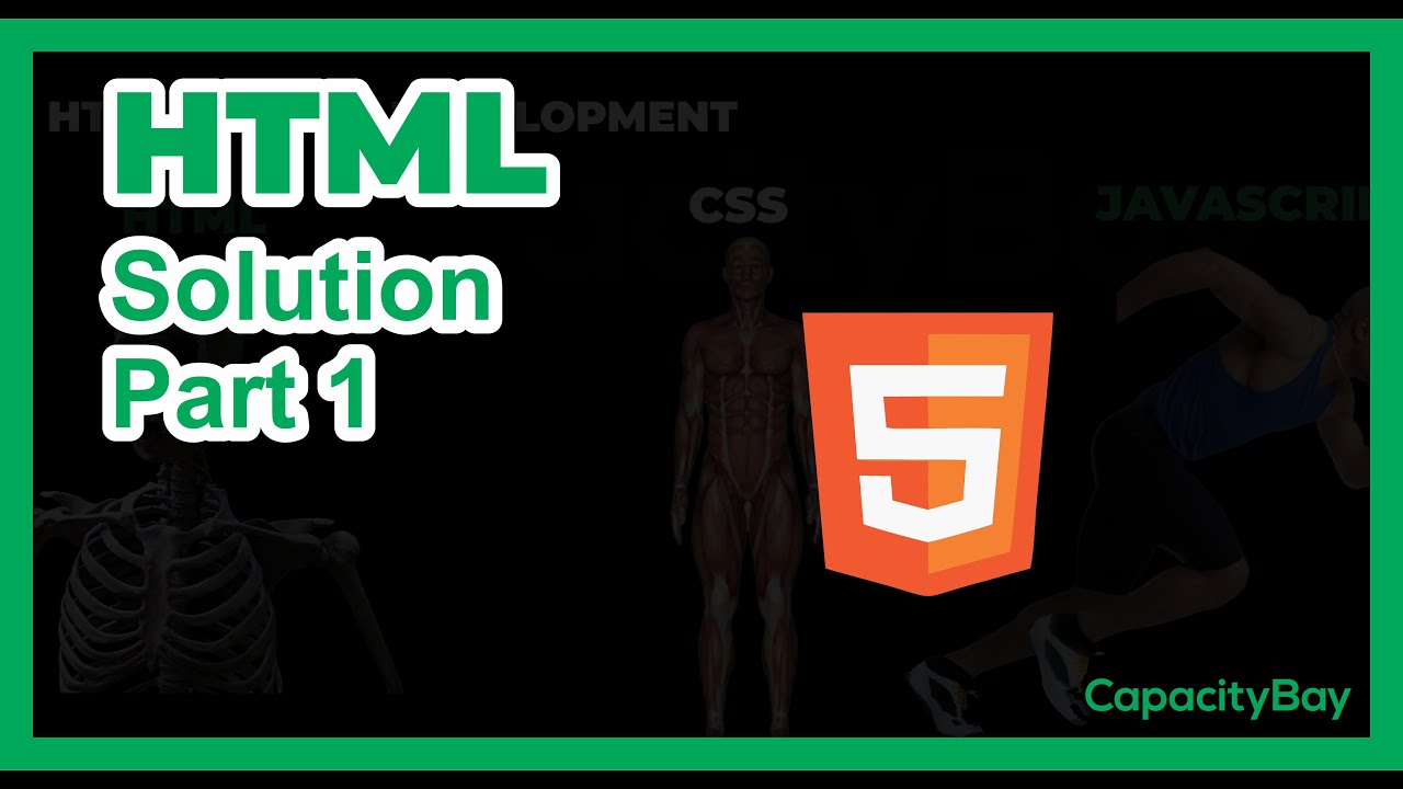 HTML Project Solution Part 1 | Learn HTML 14 - YouTube
