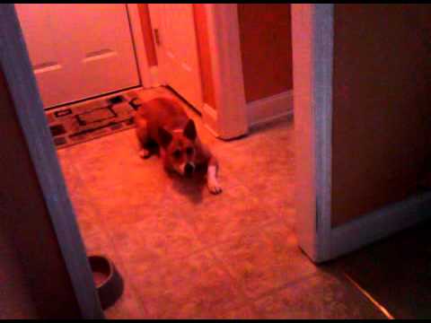 hi Kimmy - YouTube