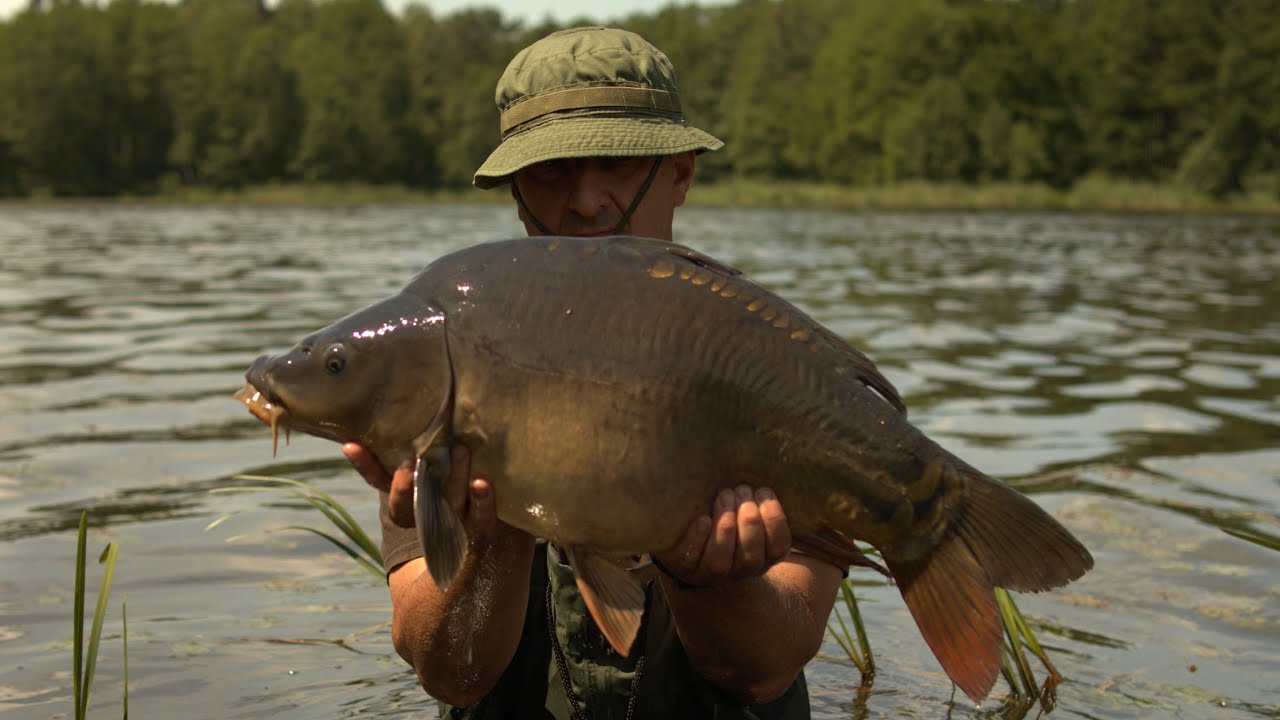 super zasiadka/super carp session - YouTube