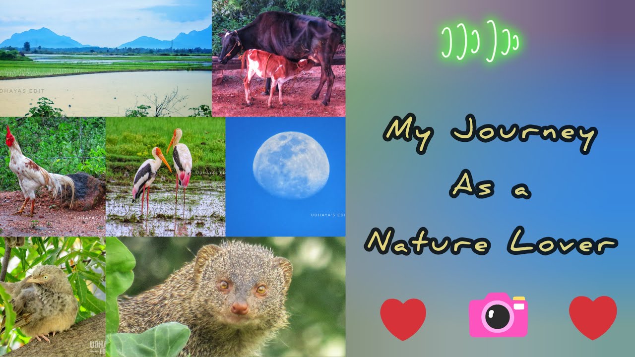 Nature Lover | Journey as a Nature Lover | Nature Photography | Life ...