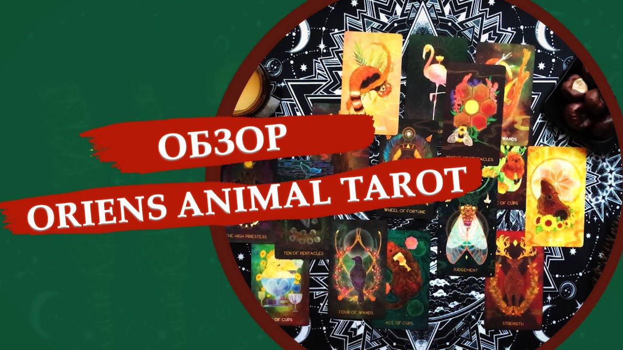 Oriens tarot / Oriens animal tarot / 2е инди издание / Обзор колоды ...
