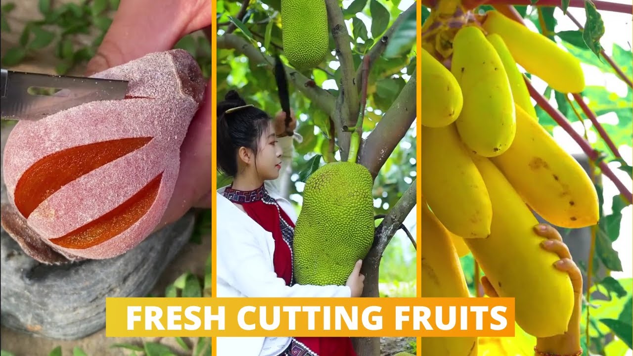 Awsome Mixed Fruit Cutting | Tropical Fruit - YouTube