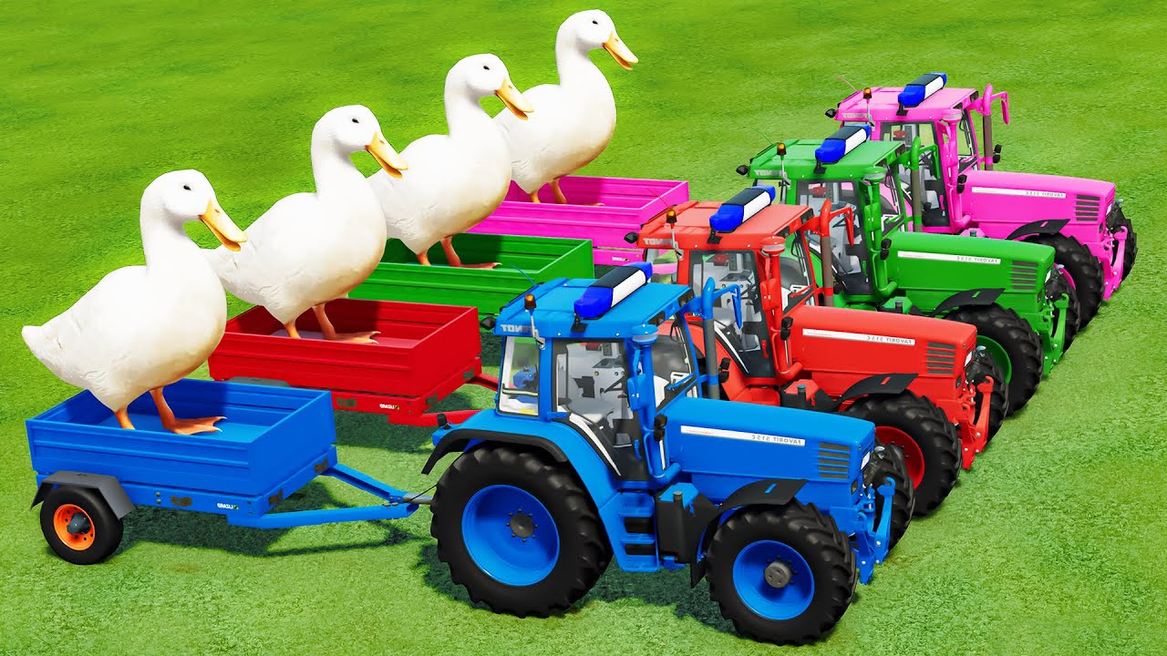Load & Transport Big DUCK with Fendt COLORED TRACTORS ! Farming ...