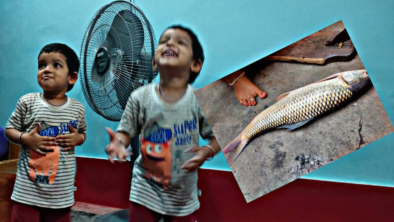 fish ku daruchi ll ki dance anshi ra ll pura vlog dance ll baby vlog ll ...