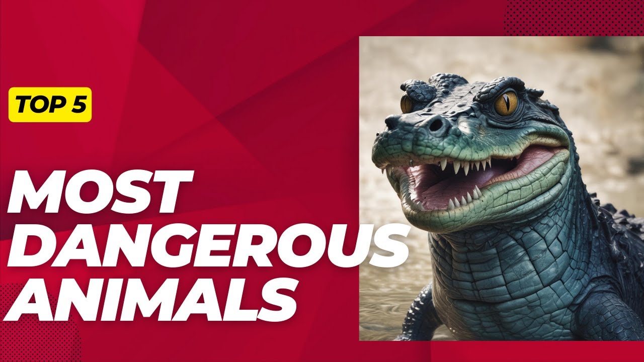 Top 5 Most Lethal Animals on the Planet: You Won't Believe #1! 🐍😱 - YouTube