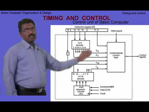UNIT 1 : Topic- Timing and Control - YouTube