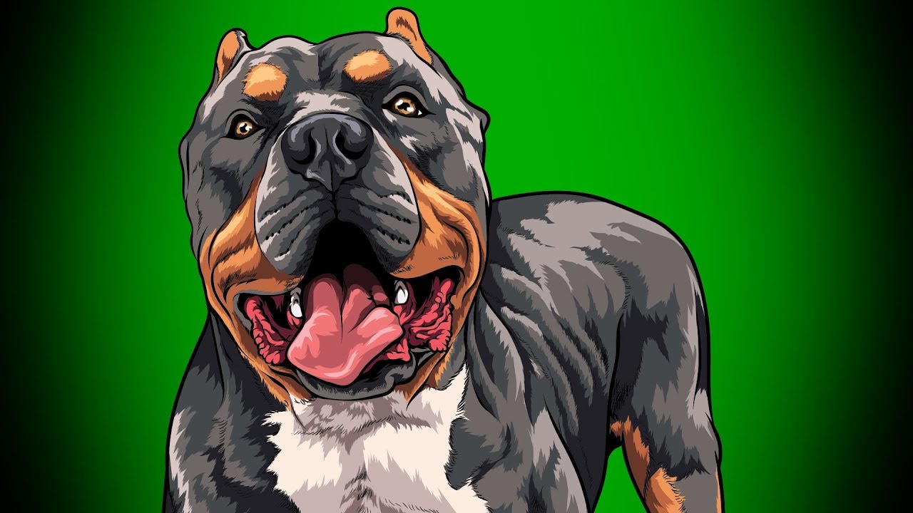 DOG Adobe Illustrator CC 2019 Speedart - YouTube