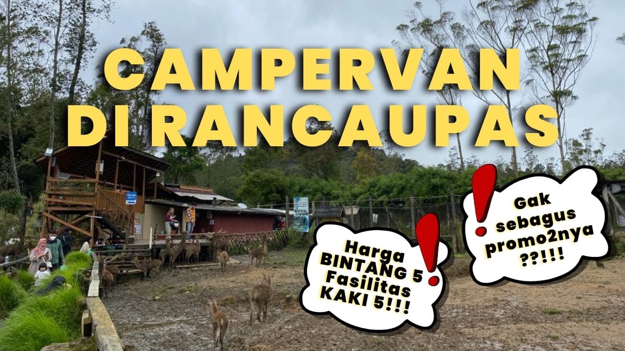 Review Campervan Park Ranca upas Ciwidey I Wisata komplit dalam satu ...