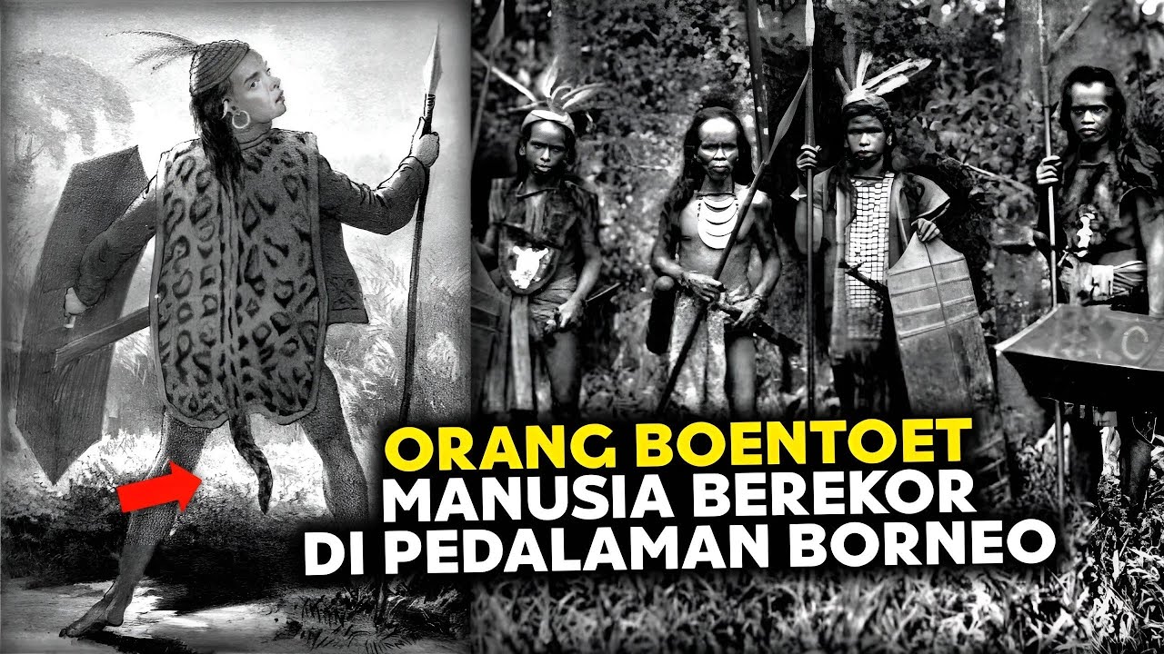 Menelusuri Jejak Manusia Berekor Legenda Kalimantan yang Dijuluki Orang ...