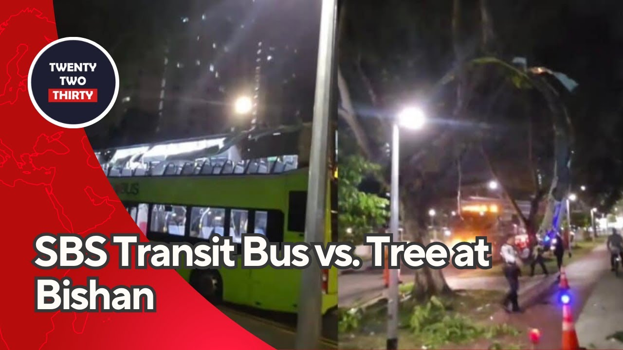Shocking Footage! SBS Transit Bus vs. Tree - Exclusive Look at Bishan ...