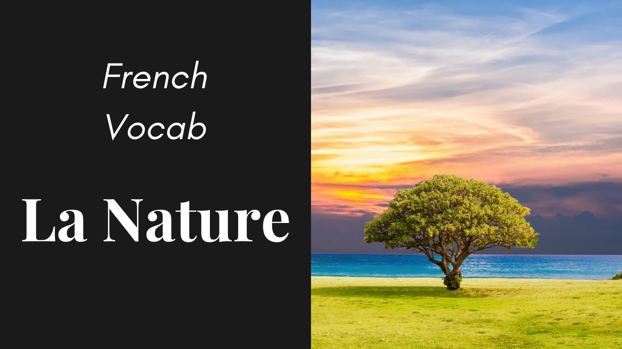 French Vocabulary Practice for Beginners - Nature - YouTube