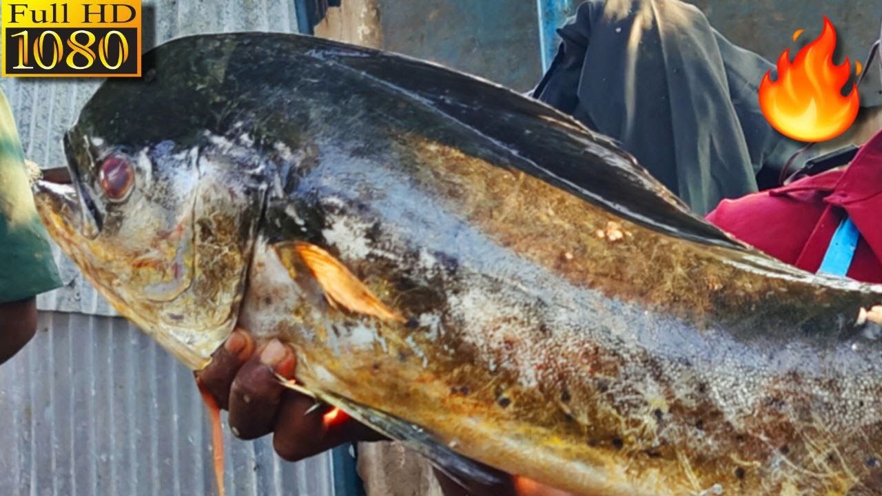 KASIMEDU FISH CUTTING💥| PARALA FISH CUTTING🐟 | FISH CUTTING SKILL ...
