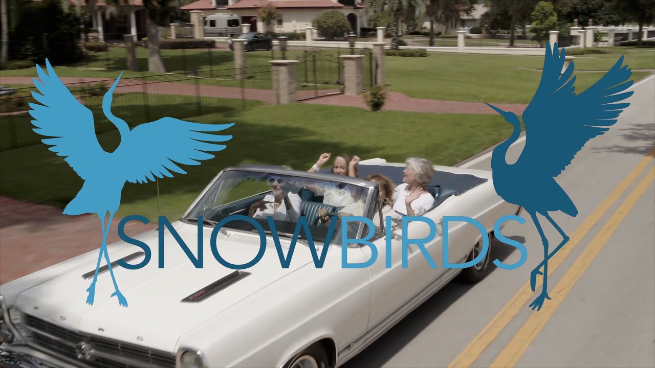 Snowbirds Pilot Short Clips - YouTube
