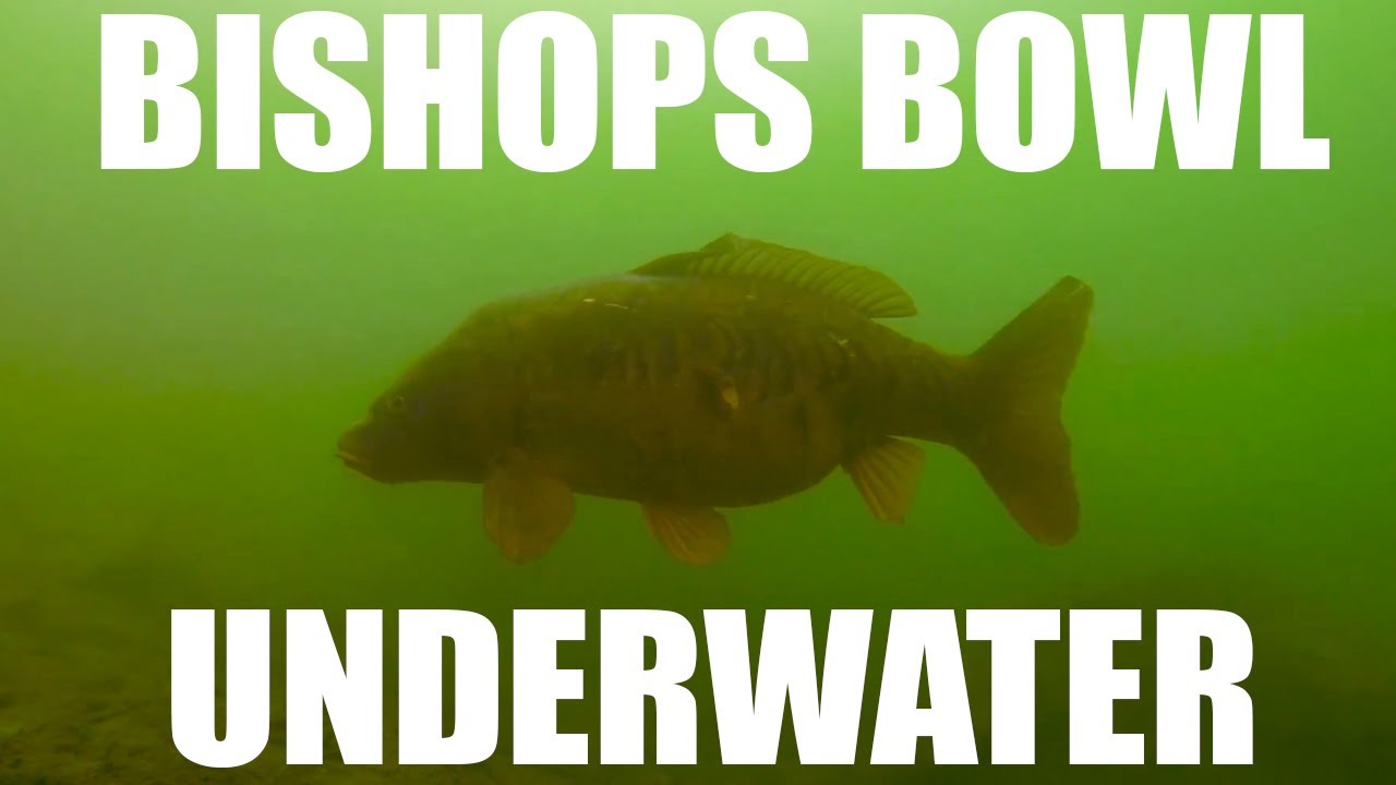 Bishops Bowl Fishery - Green Hill Lake - Underwater Footage - YouTube