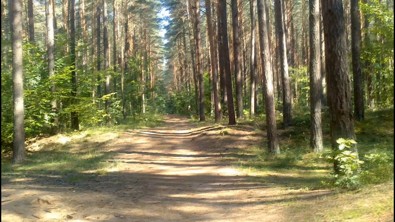 Best Jogging place in the World - Lithuania - YouTube