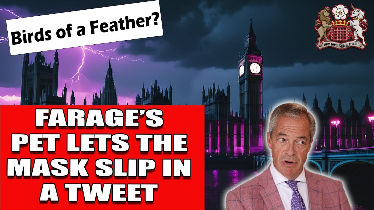 Reform Activist Lets Mask Slip in Tweet - YouTube