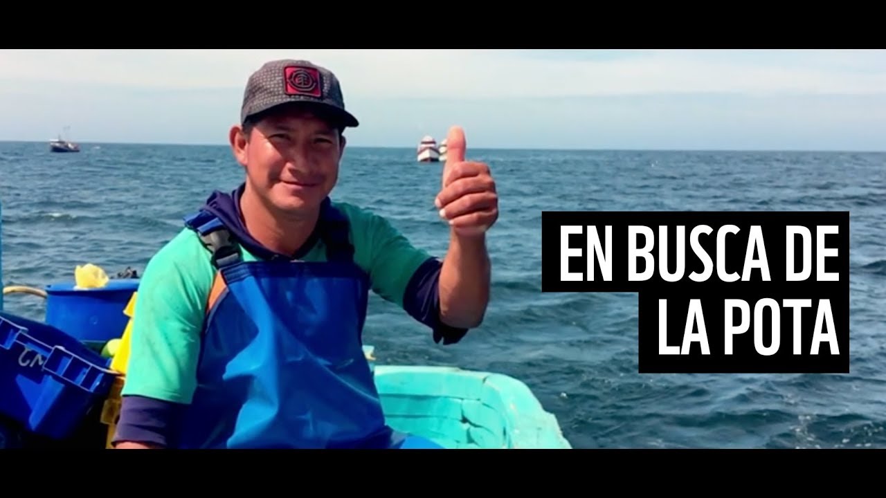 A la pesca de la pota (To the fishing of jumbo squid) - YouTube