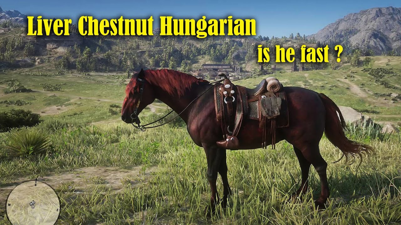Liver Chestnut Hungarian...is he fast? Red Dead Redemption 2. - YouTube