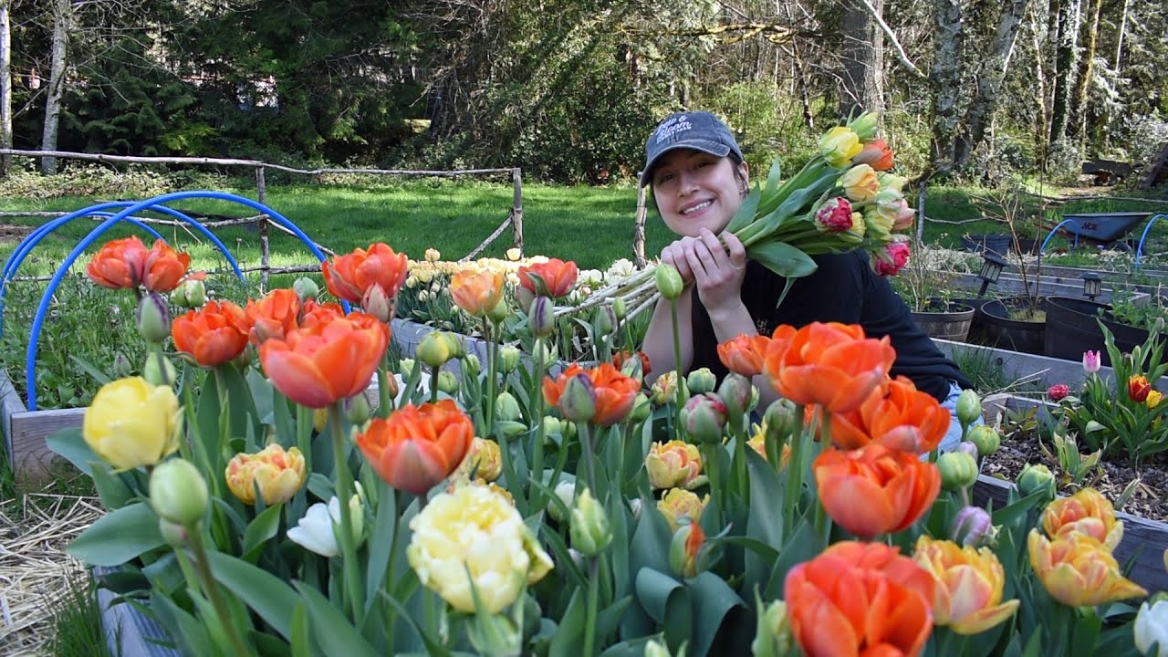 Flower Farmer Heart to Heart 💕 This season has been tough (Season 2 ...