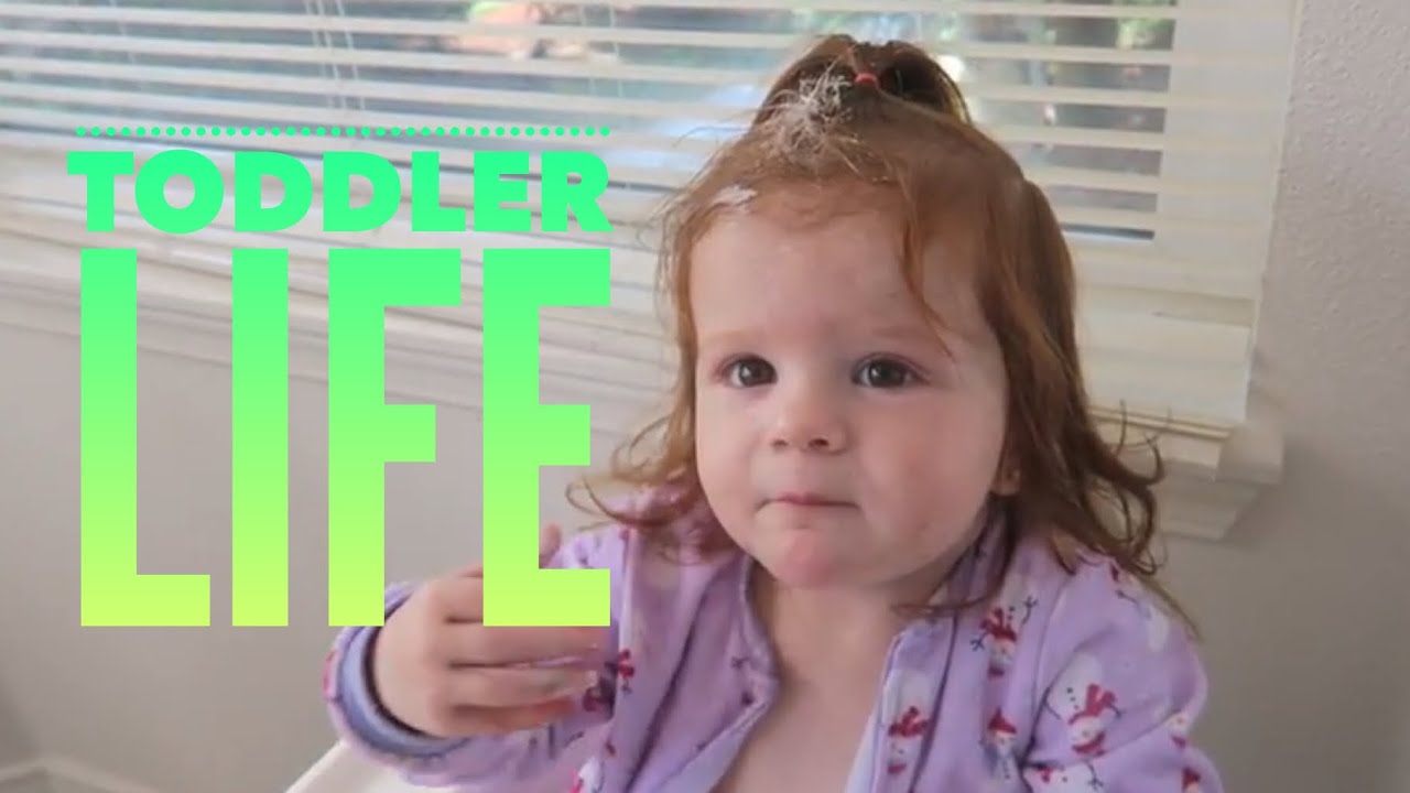 Toddler Life - YouTube